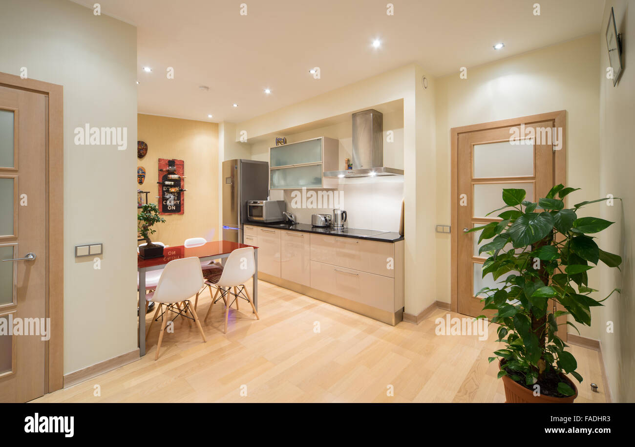 Modern studio interior in private house. Kitchen Stock Photo - Alamy