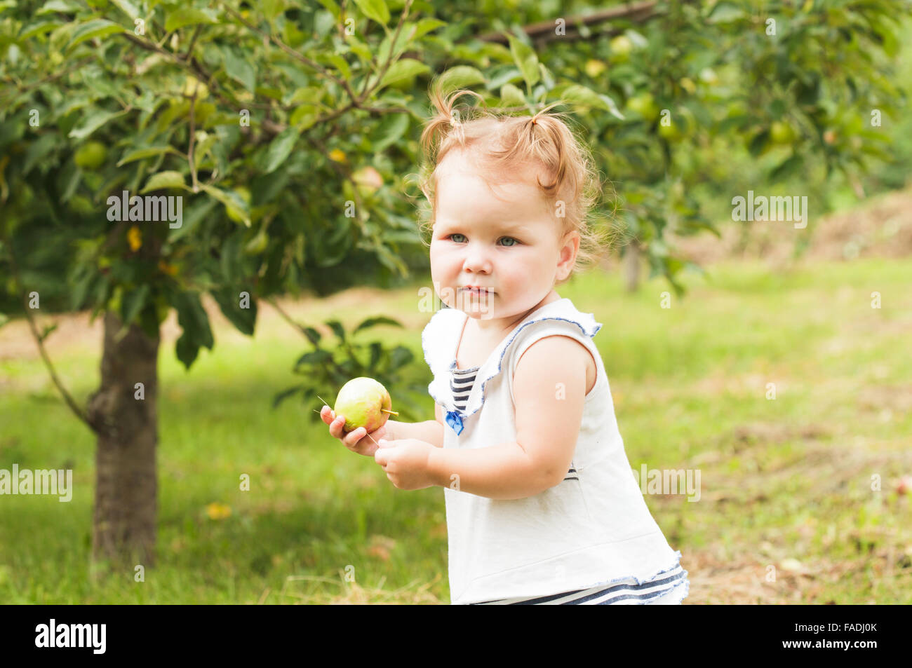 Baby girl under the apple tree Stock Photo - Alamy