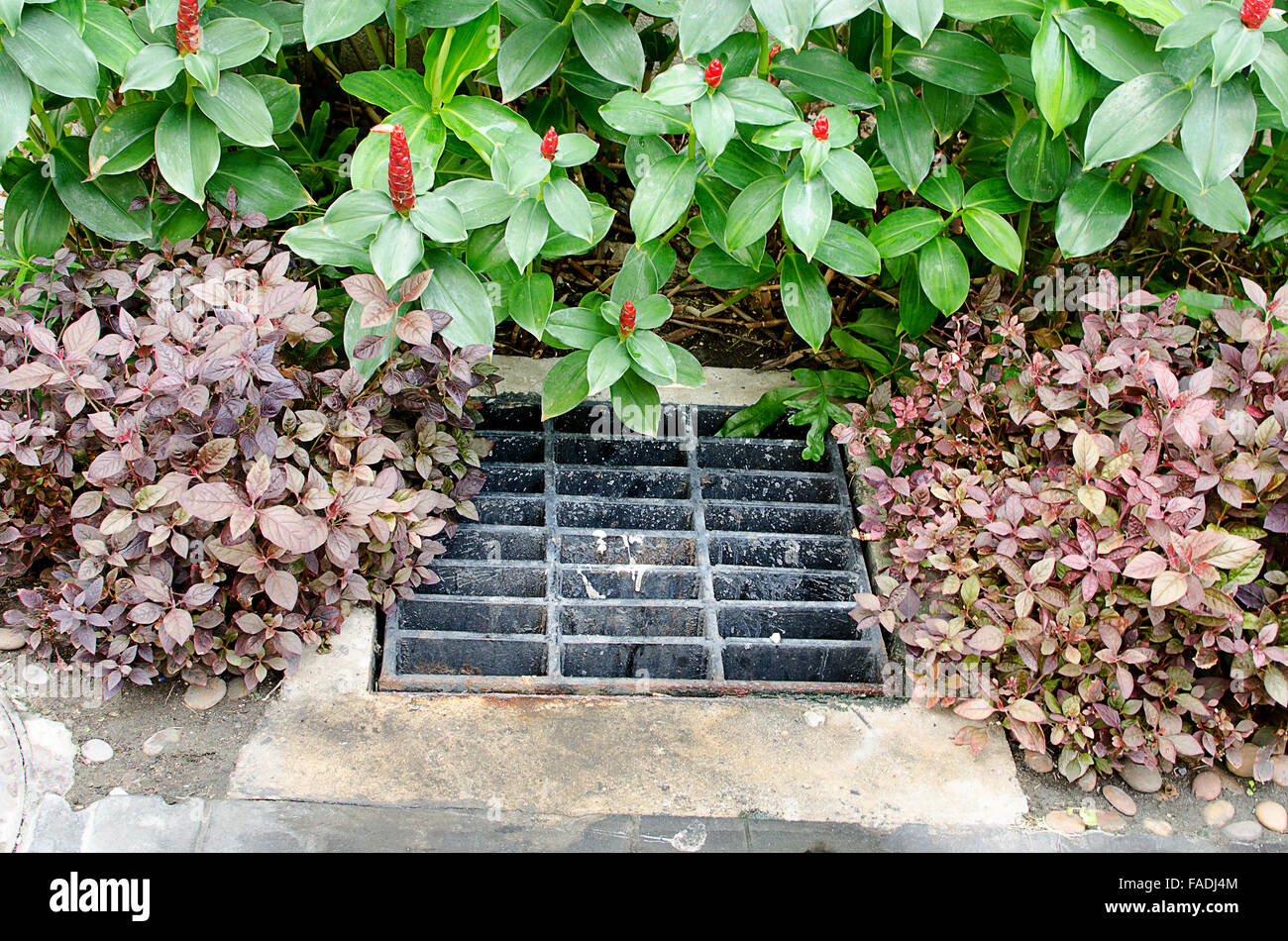 Street drains sewer cover water hi-res stock photography and images - Alamy