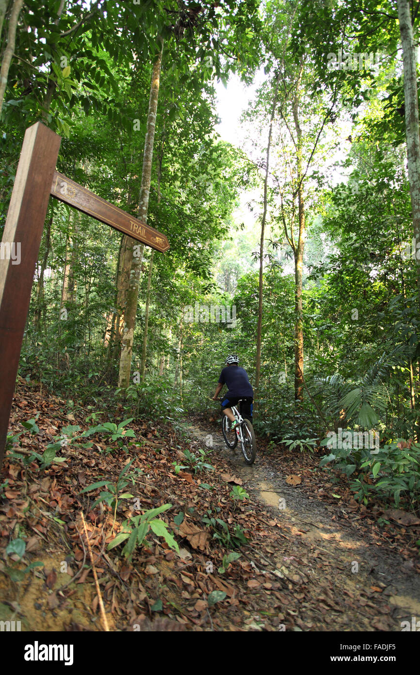 Urban downhill hi-res stock photography and images - Alamy