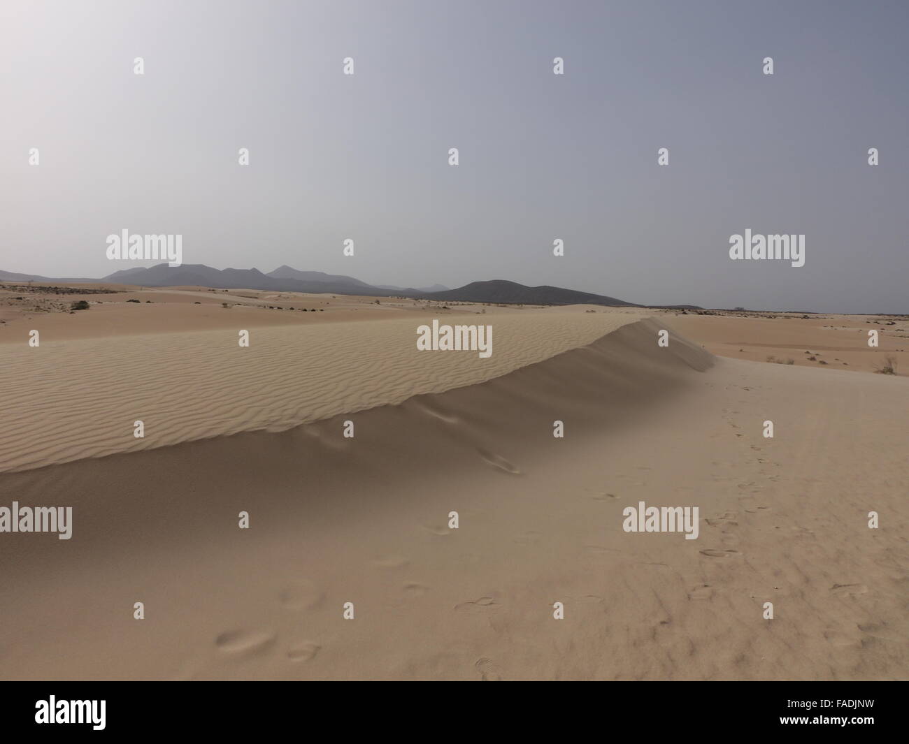 Sand patterns on the Nature reserve, Park Natural, Corralejo ...