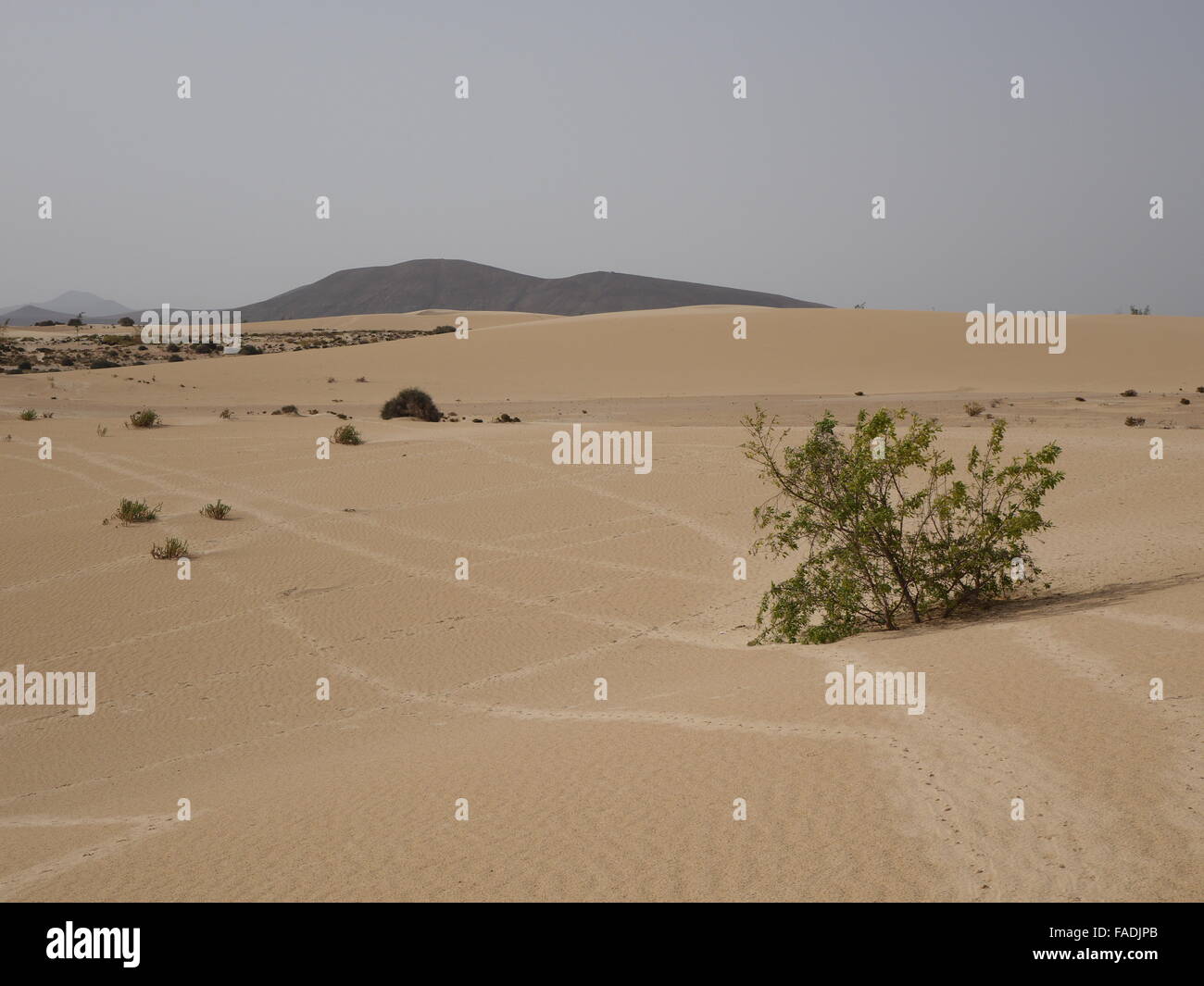 Sand patterns on the Nature reserve, Park Natural, Corralejo ...