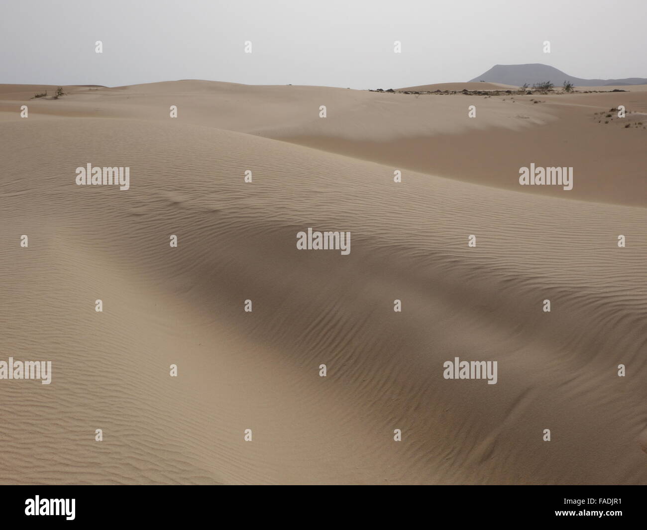 Sand patterns on the Nature reserve, Park Natural, Corralejo ...