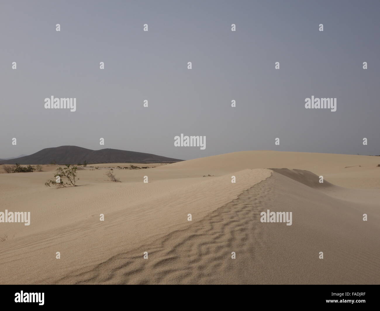 Sand patterns on the Nature reserve, Park Natural, Corralejo ...