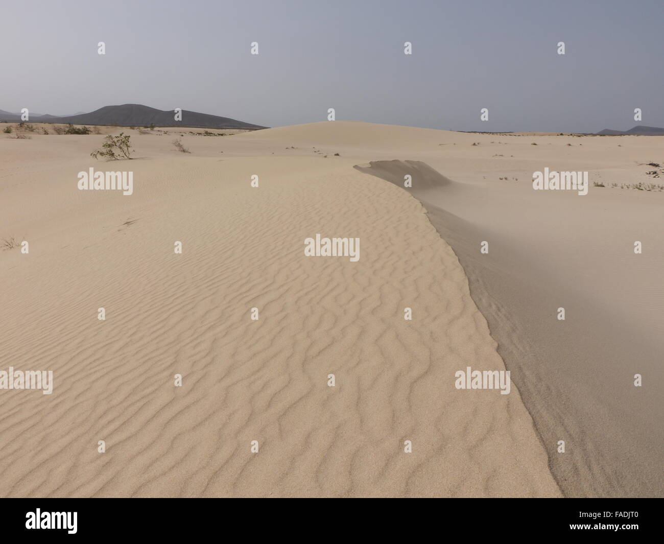 Sand patterns on the Nature reserve, Park Natural, Corralejo ...