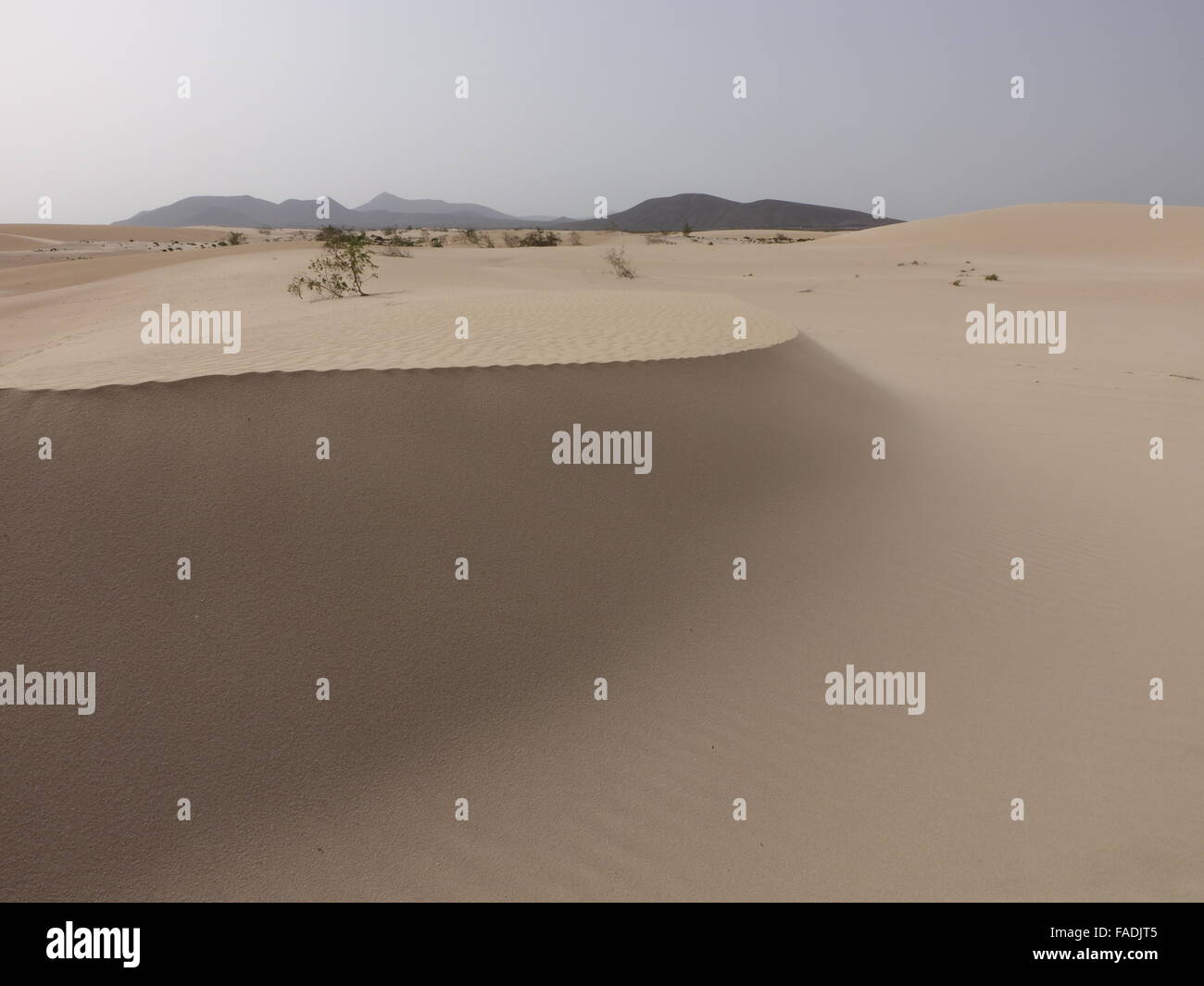 Sand patterns on the Nature reserve, Park Natural, Corralejo ...