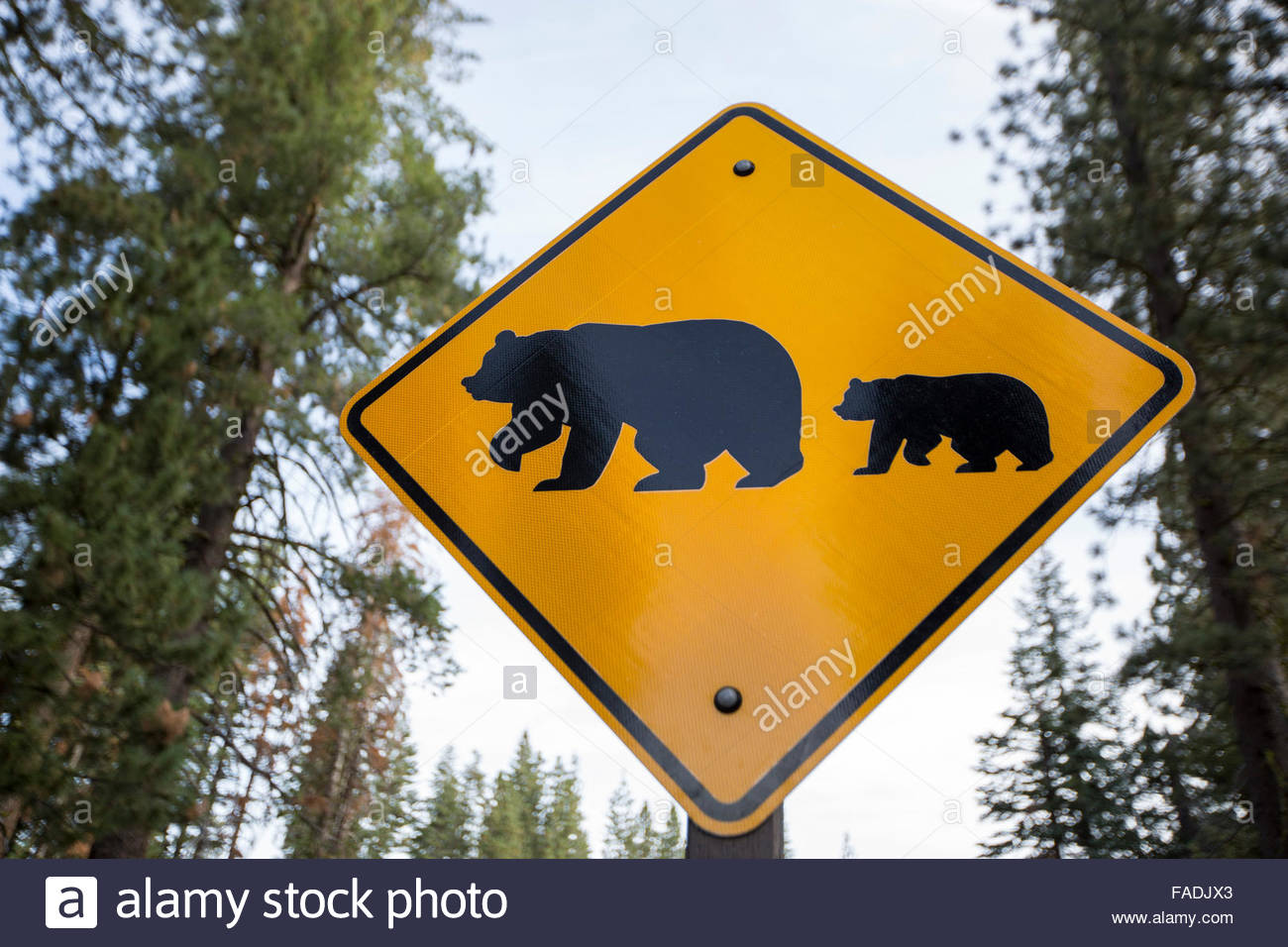 Bear Crossing Road Sign Stock Photos & Bear Crossing Road Sign Stock ...