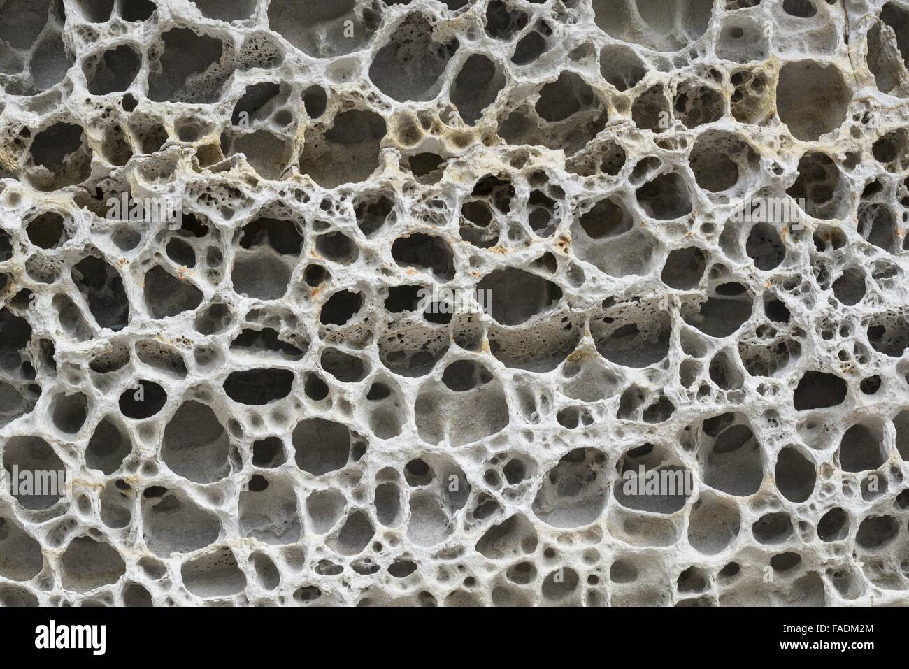 Tafoni, weathered rocks, Elgol, Western Highlands, Isle of Skye ...