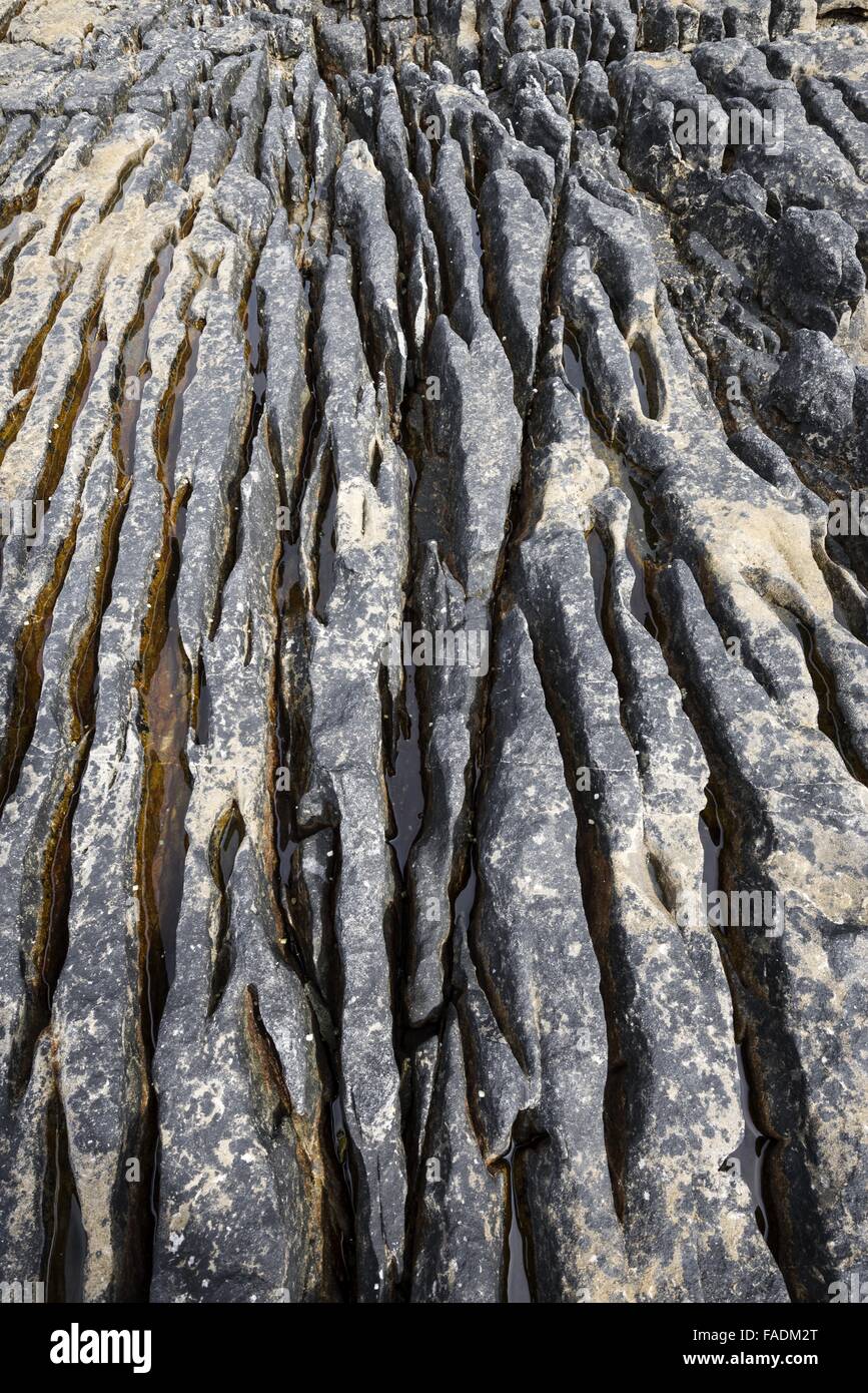 Weathered volcanic rock in the bay of Elgol, Western Highlands, Isle of ...