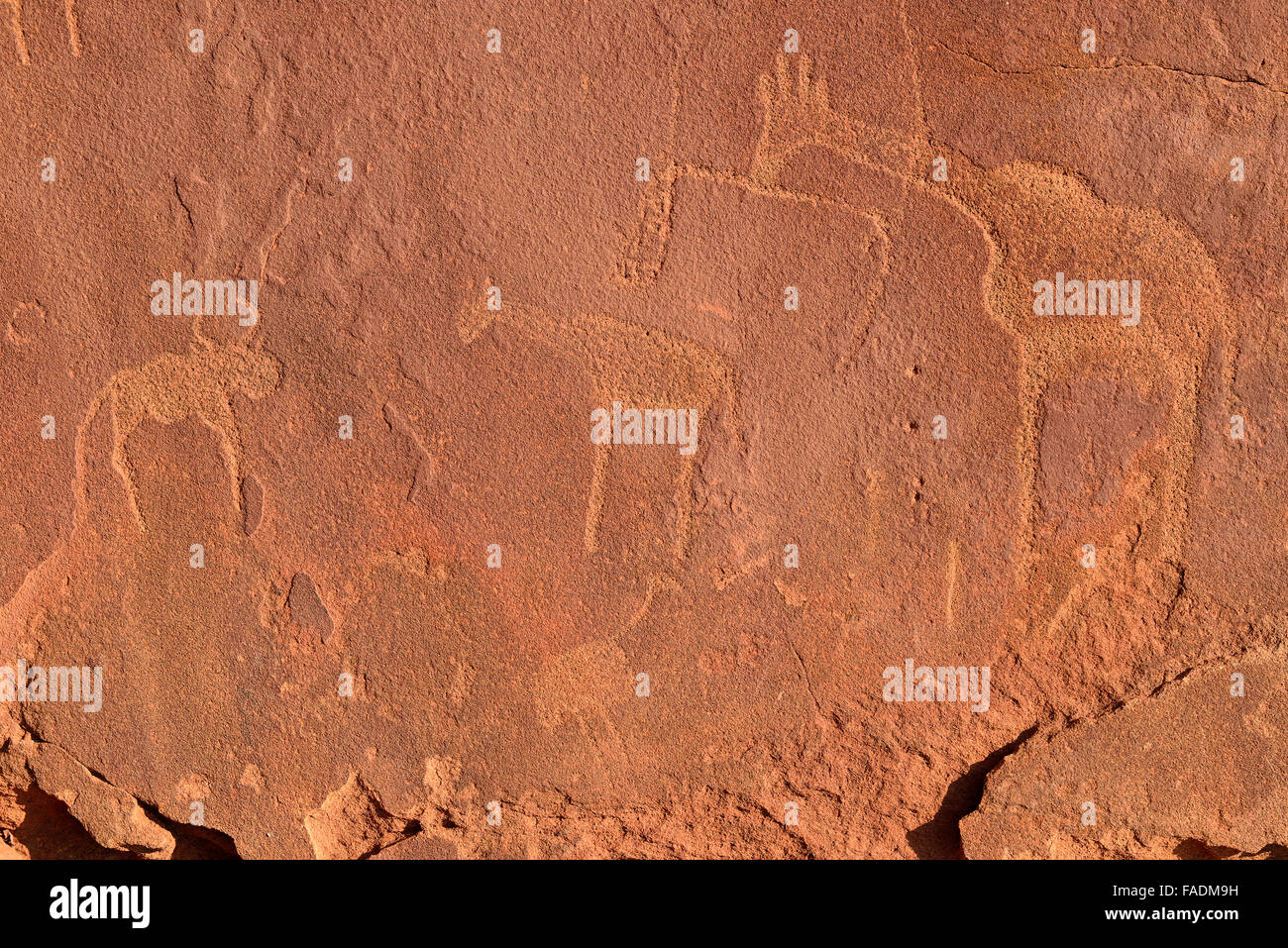 Neolithic petroglyphs of a giraffe, Twyfelfontein, Unesco World ...