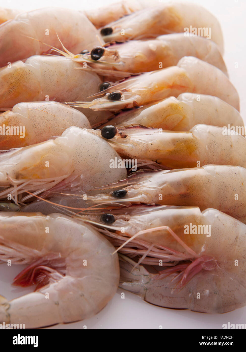 fresh prawn on the white background Stock Photo - Alamy