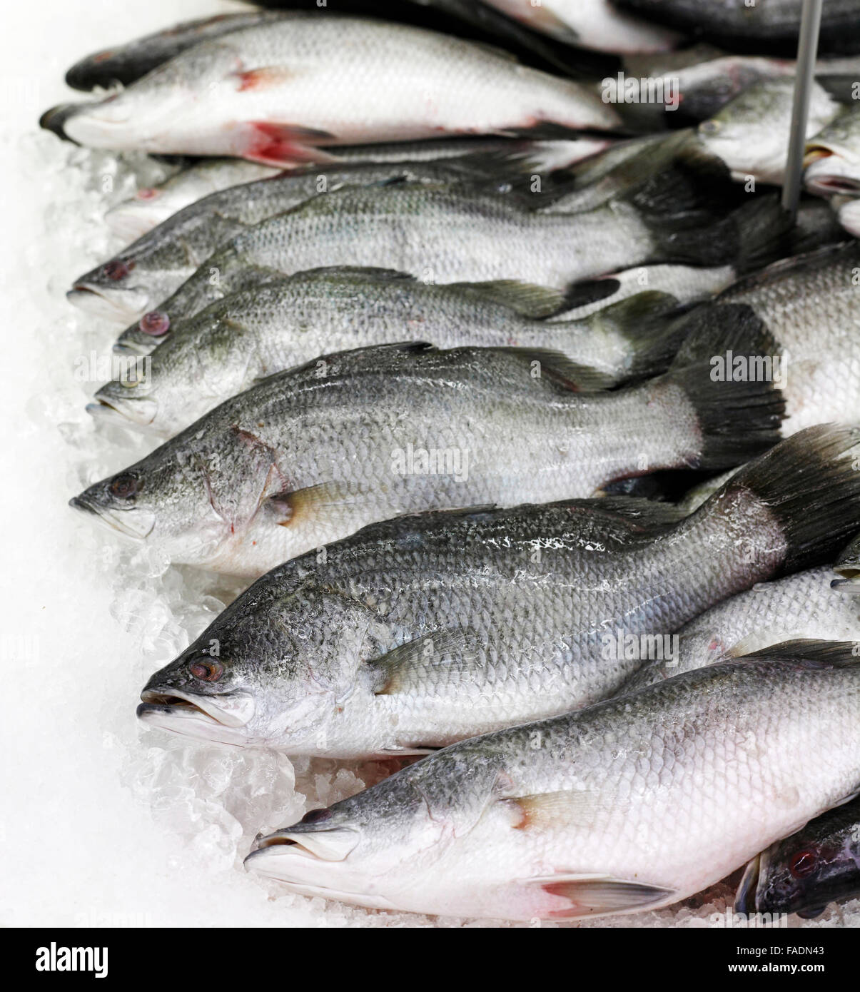 frsh fish on the wet market Stock Photo - Alamy