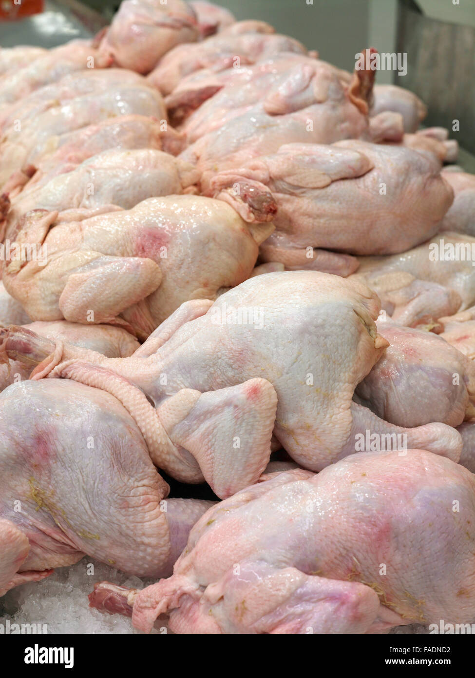 close up of the Chicken at local market Stock Photo - Alamy