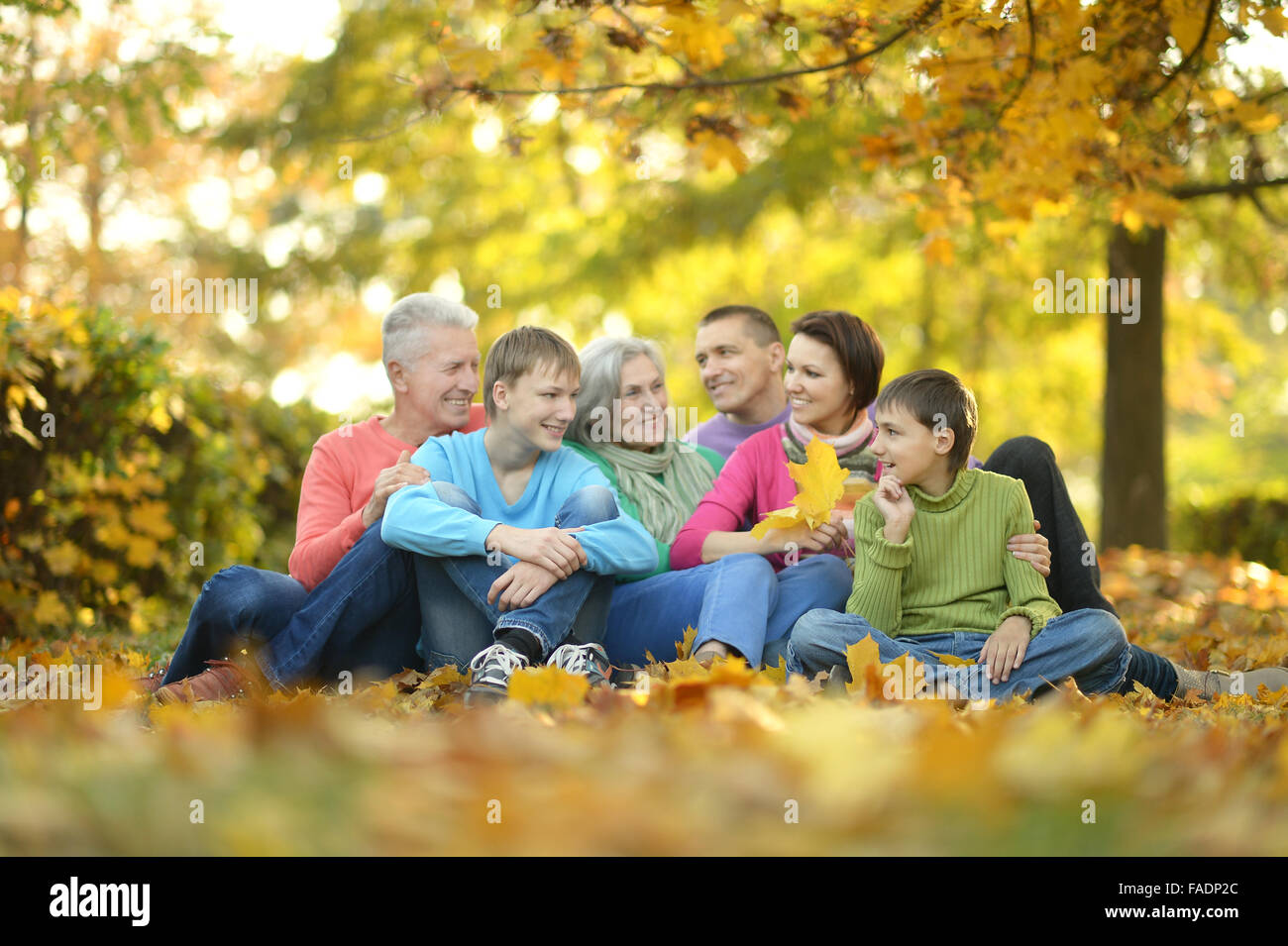 Family relaxing in autumn park Stock Photo - Alamy