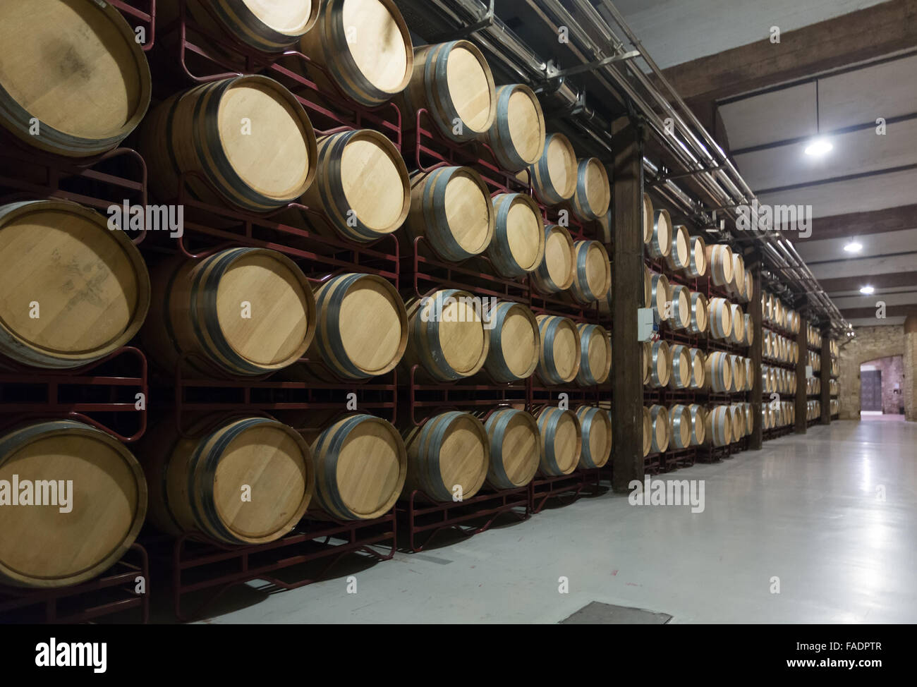 Many wooden barrels in rows at contemporary winery factory Stock Photo ...