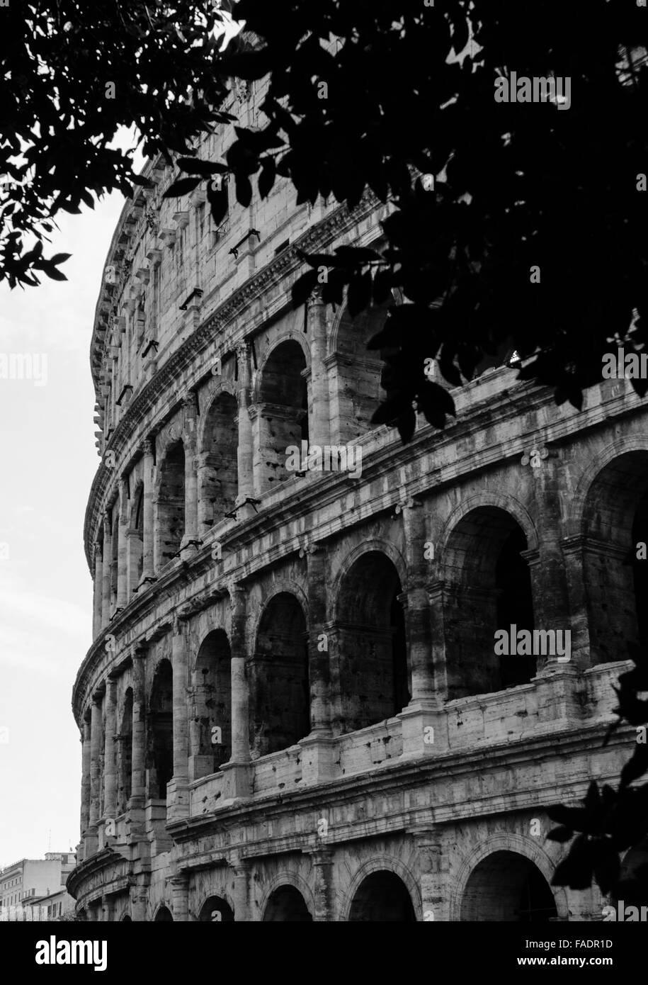 Colosseum Black and White Stock Photos & Images - Alamy
