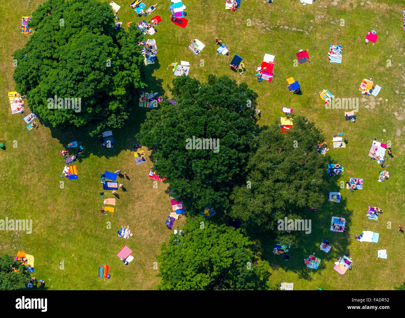 Aerial view, sunbathing, summer, bathers, sunbathing areas, summer fun ...