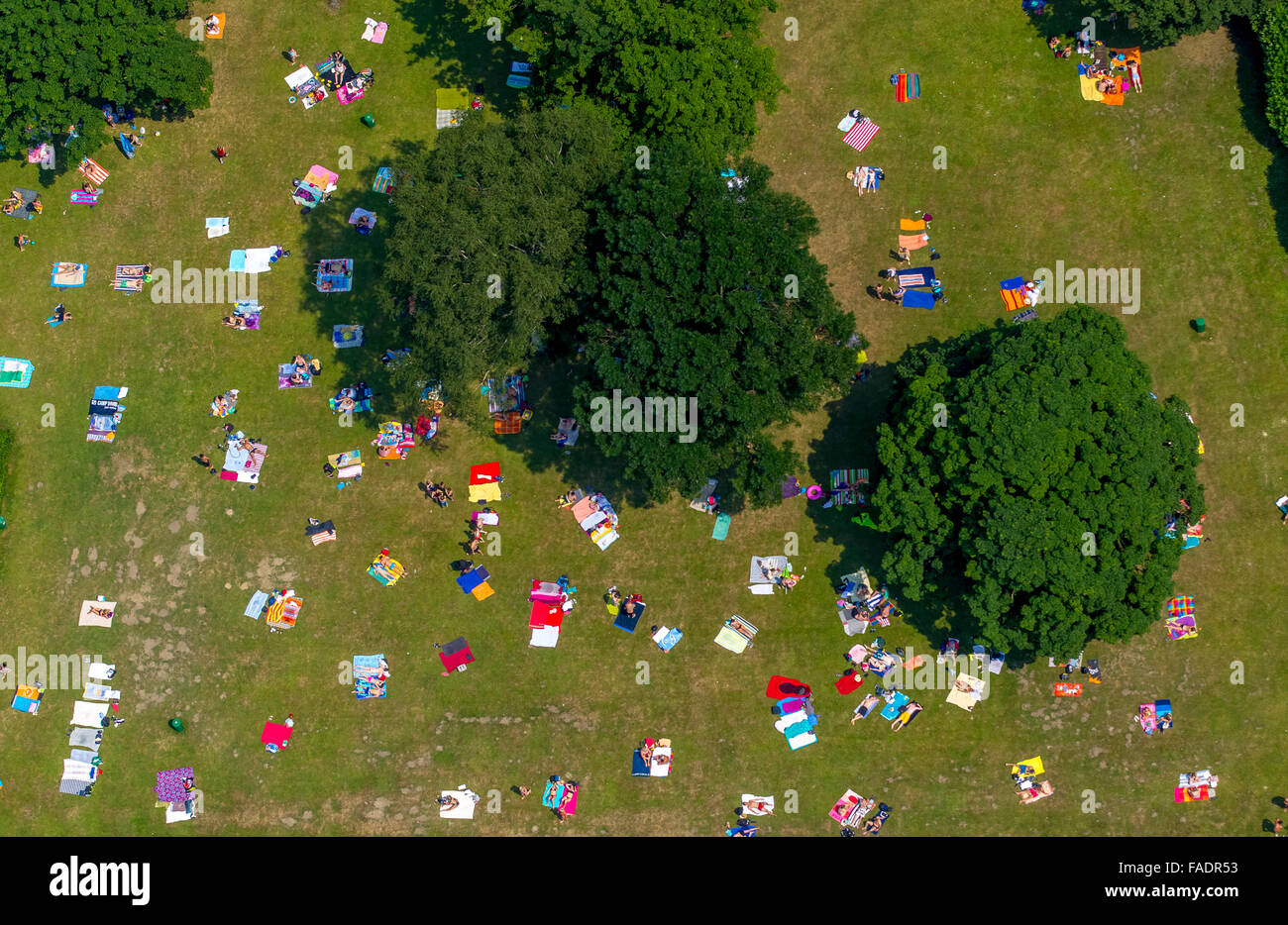 In summer sunbathing hi-res stock photography and images - Alamy