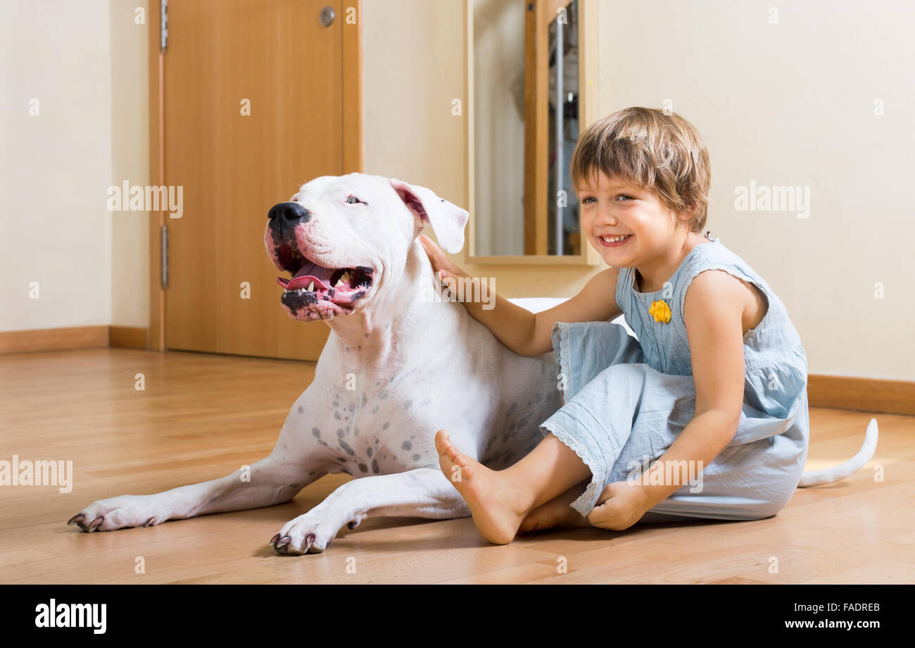 small smiling girl on the floor with dogo Argentino (focus on dog Stock ...