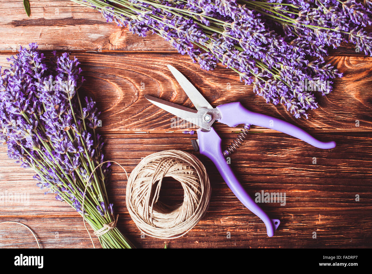 The Lavender cutting Stock Photo - Alamy