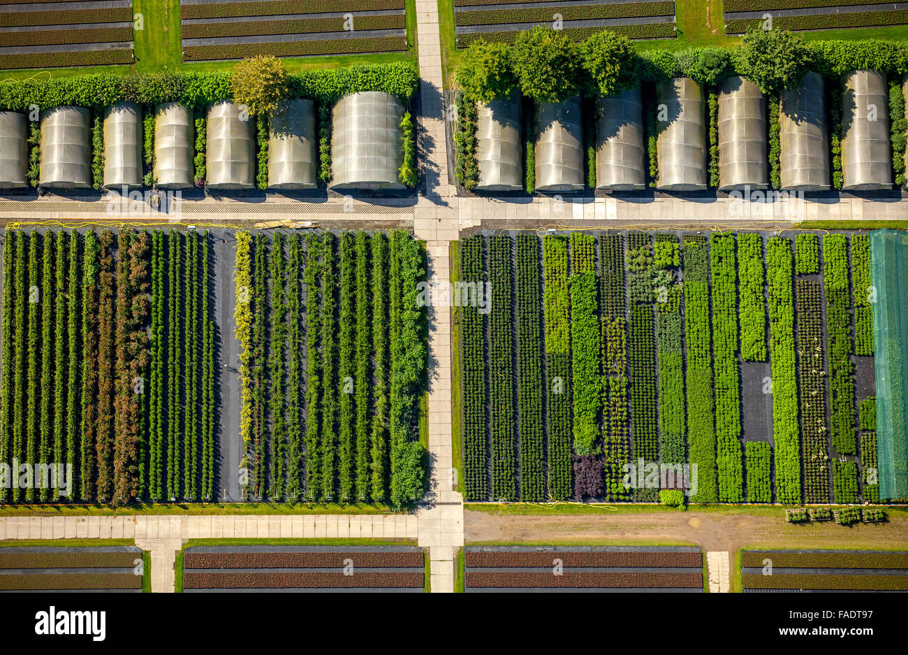 Aerial view, nursery with greenhouses in Angertal Flandersbach ...
