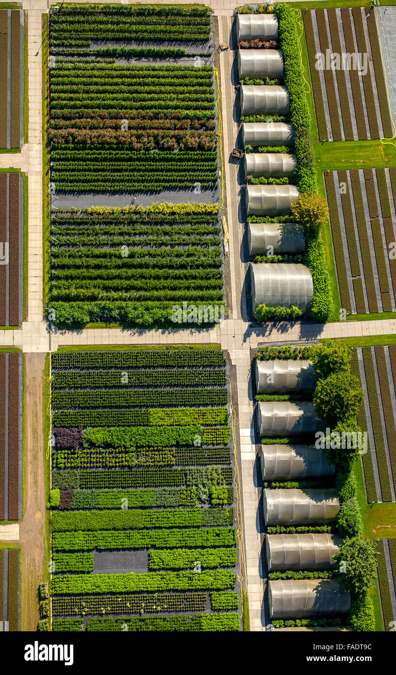 Aerial view, nursery with greenhouses in Angertal Flandersbach ...