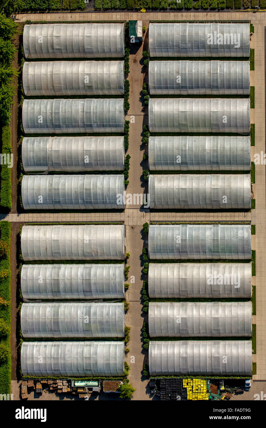 Aerial view, nursery with greenhouses in Angertal Flandersbach ...