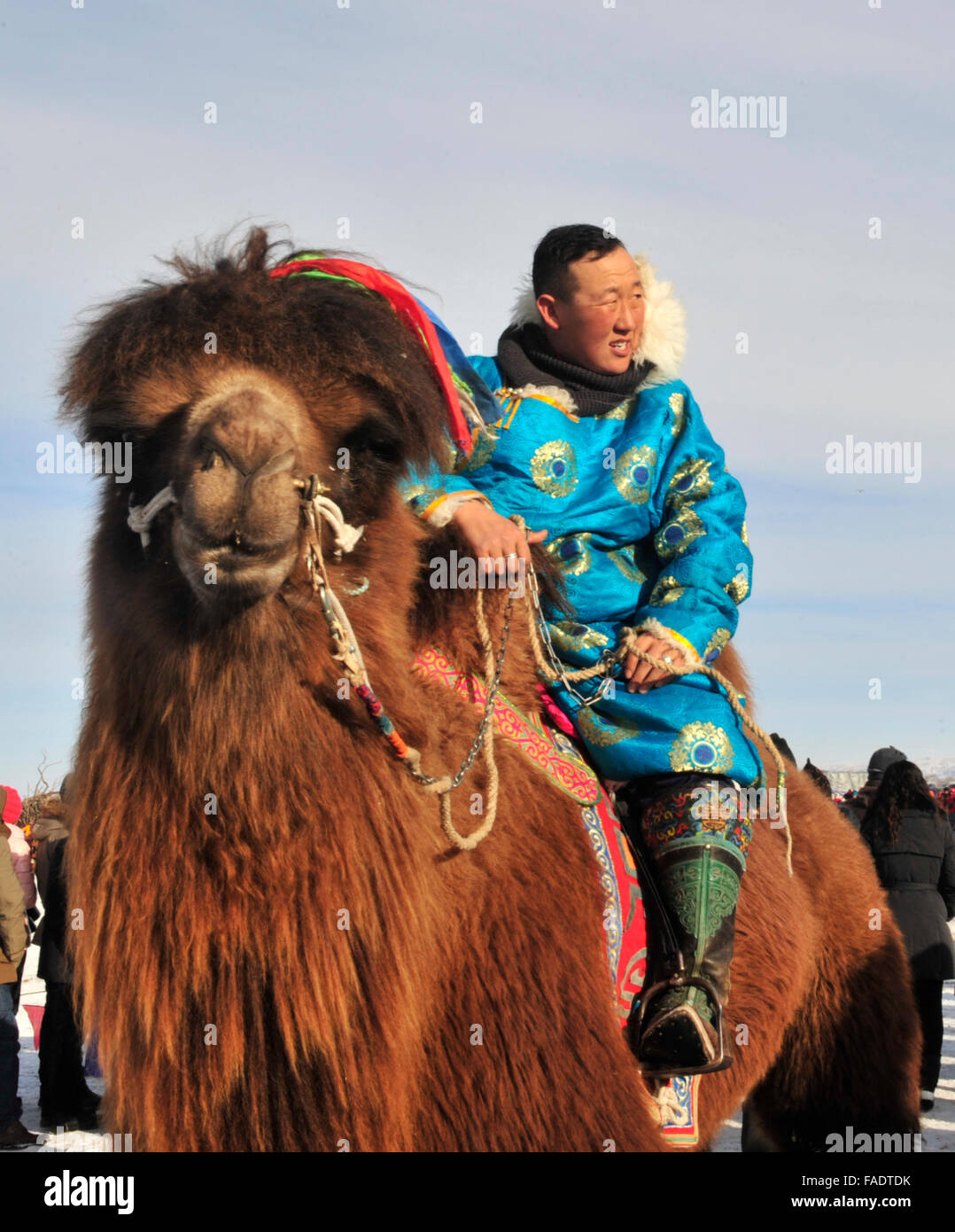 Hexigten Qi. 28th Dec, 2015. A local herdsman attends the winter camel ...