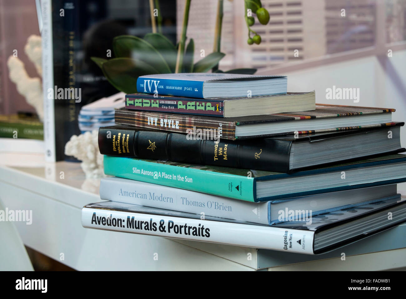 window display books avedon glass Stock Photo - Alamy