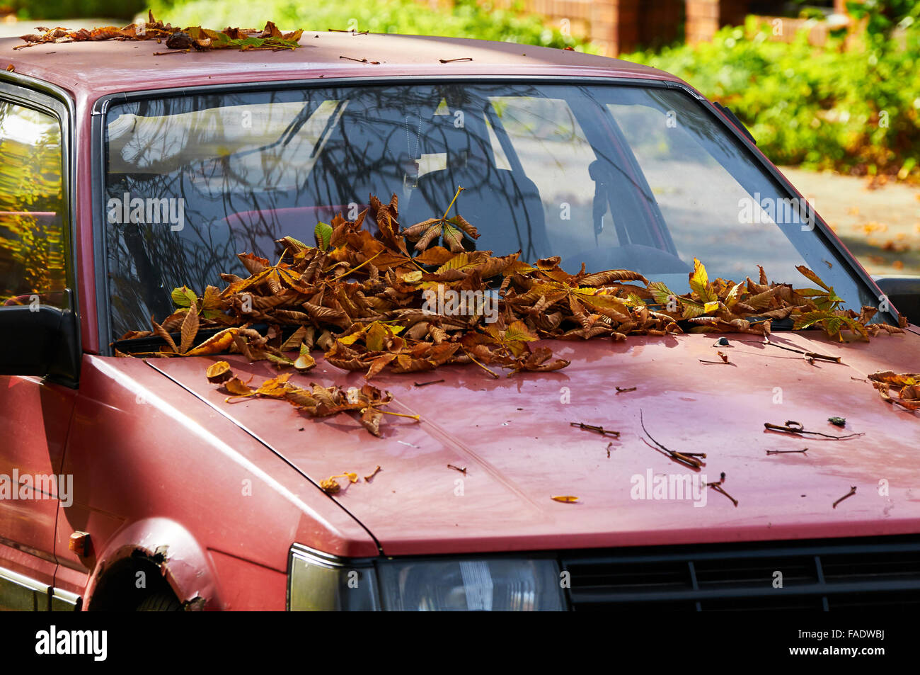 Orange windshield hi-res stock photography and images - Alamy