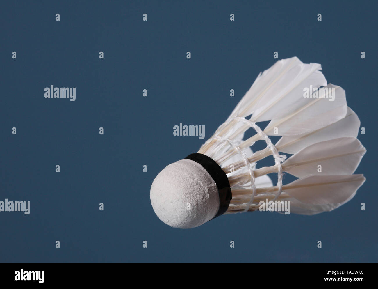 close up Badminton shuttlecock on the blue background Stock Photo - Alamy