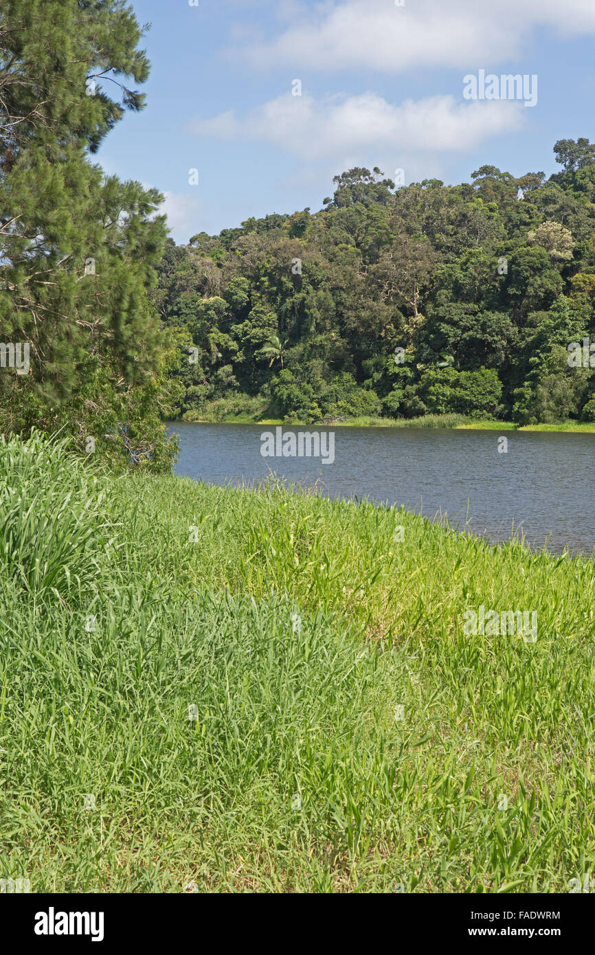 Barron River, Queensland, Australia Stock Photo - Alamy