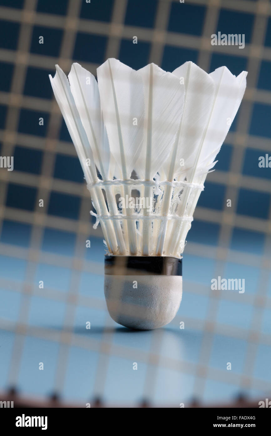 Head of badminton racquet and shuttlecock Stock Photo - Alamy