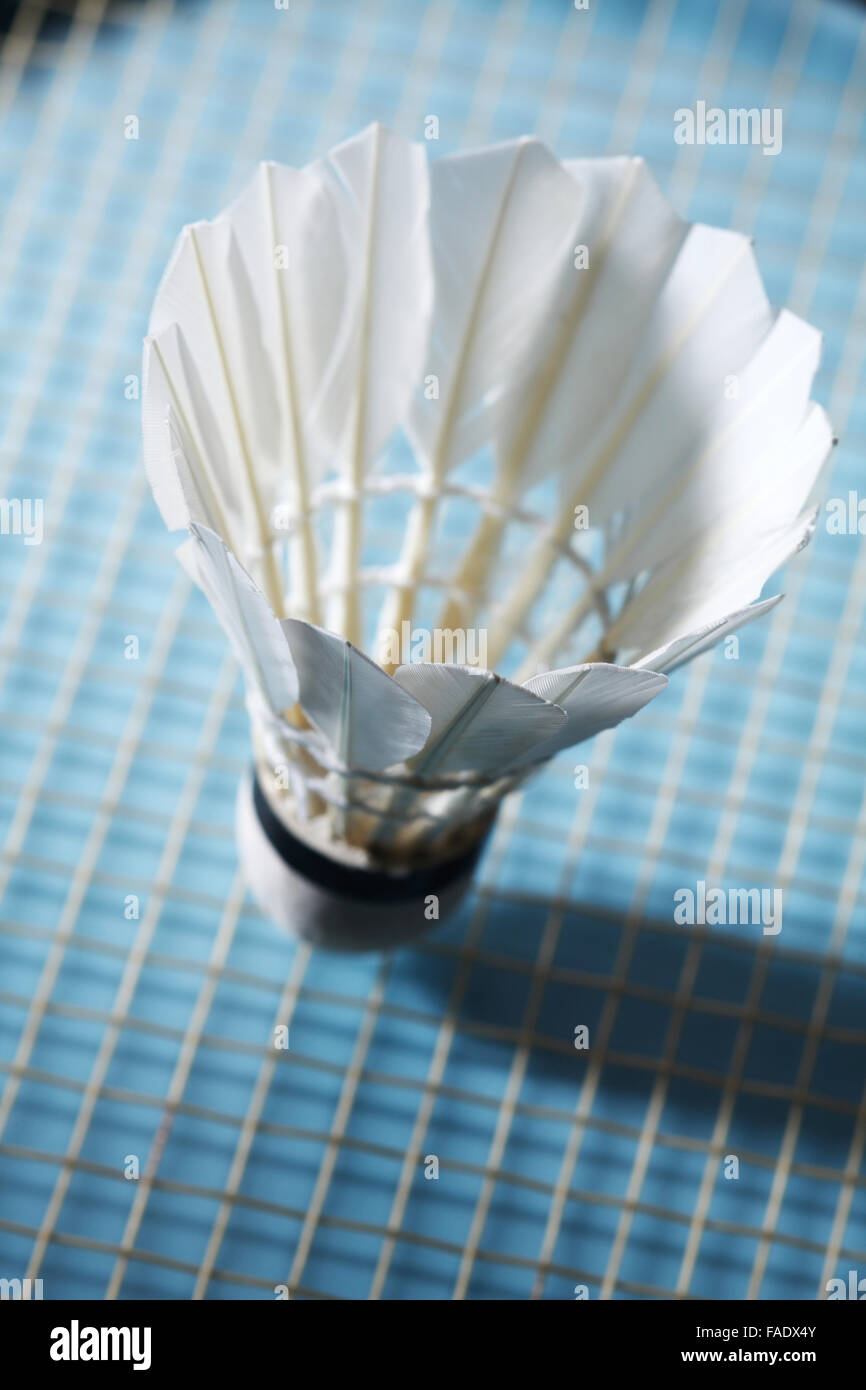 shuttlecock hitting on the badminton racket Stock Photo - Alamy