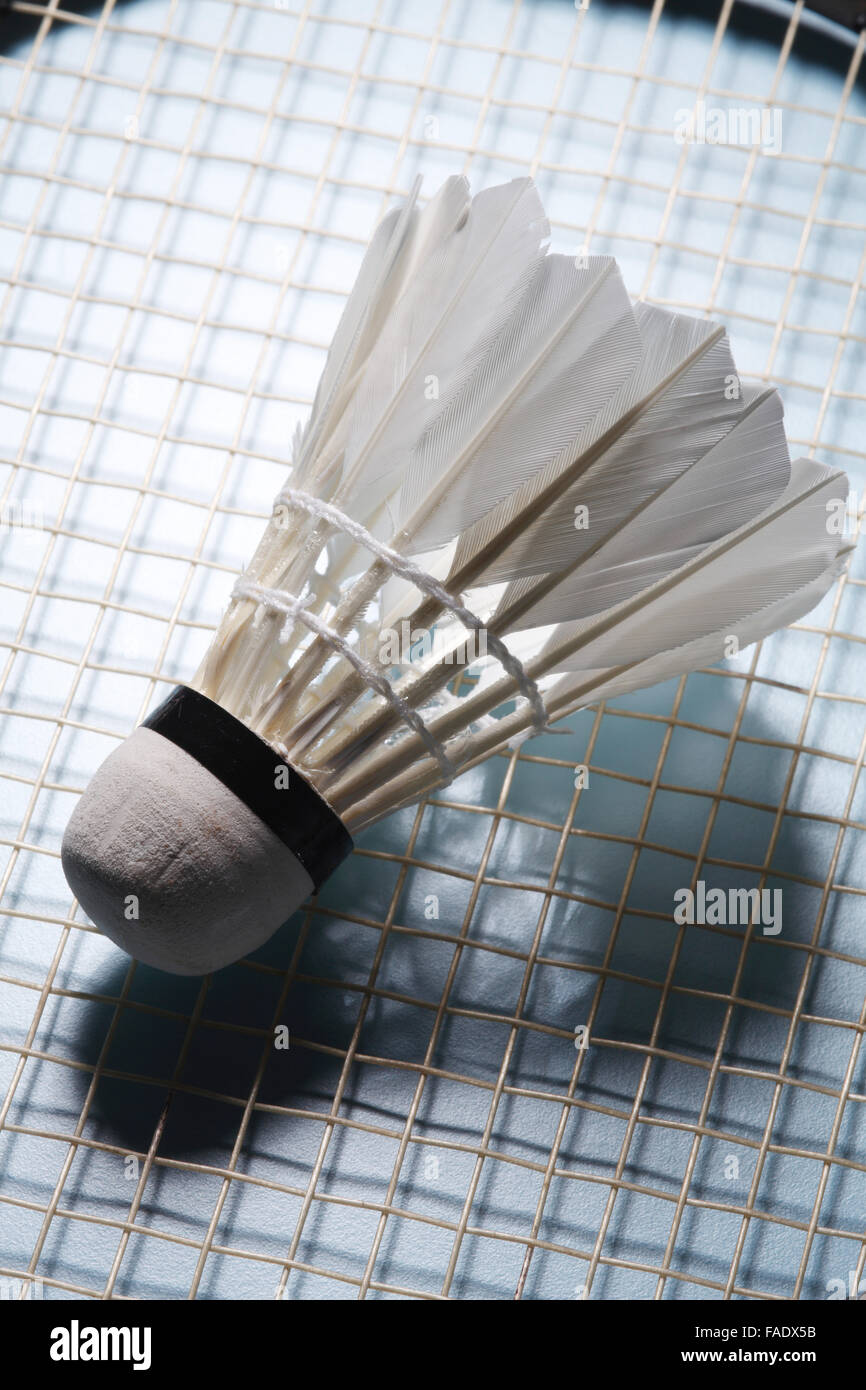 Shuttlecock on badminton racket Stock Photo - Alamy