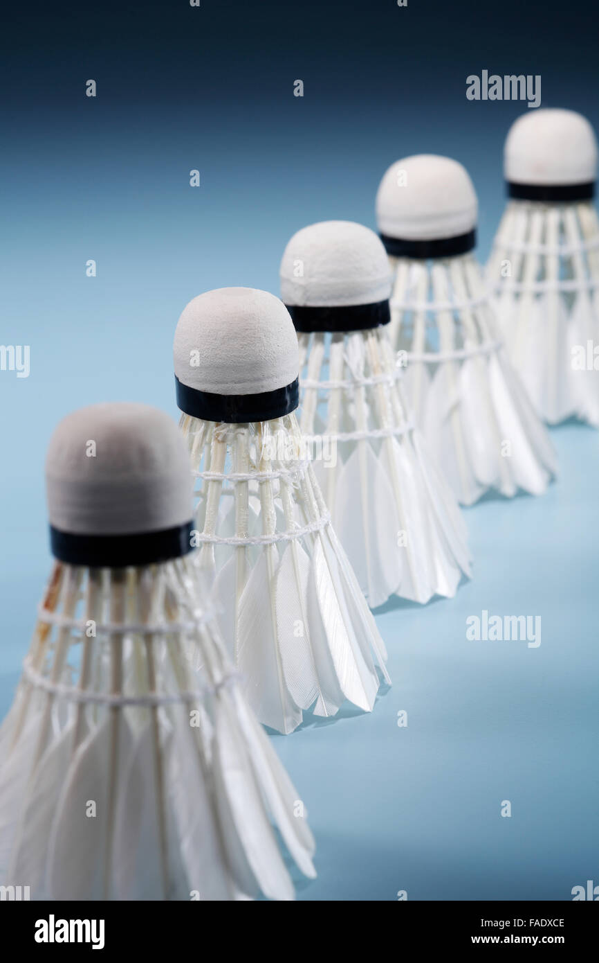 Badminton shuttlecocks in row on blue background Stock Photo - Alamy