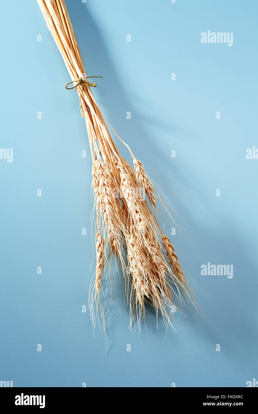 Sheaves of wheat hi-res stock photography and images - Alamy