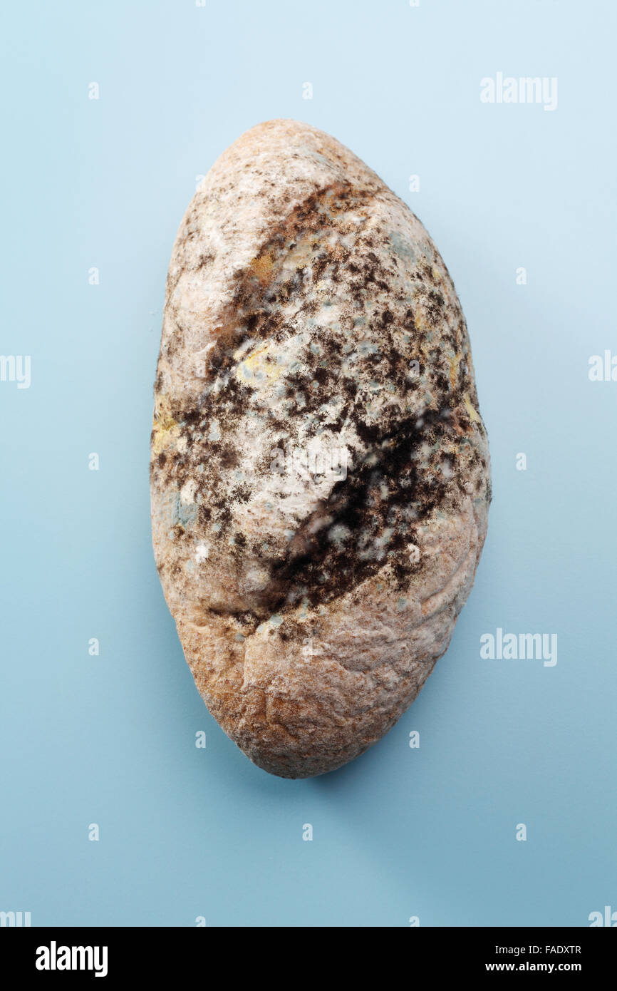 close up of the moulded bread Stock Photo - Alamy