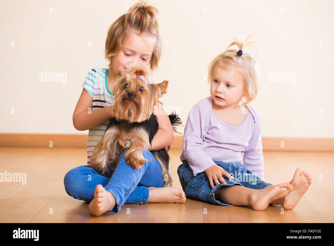 Two children playing with charming Yorkie at home Stock Photo - Alamy