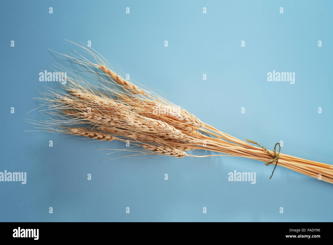 Sheaves of wheat hi-res stock photography and images - Alamy