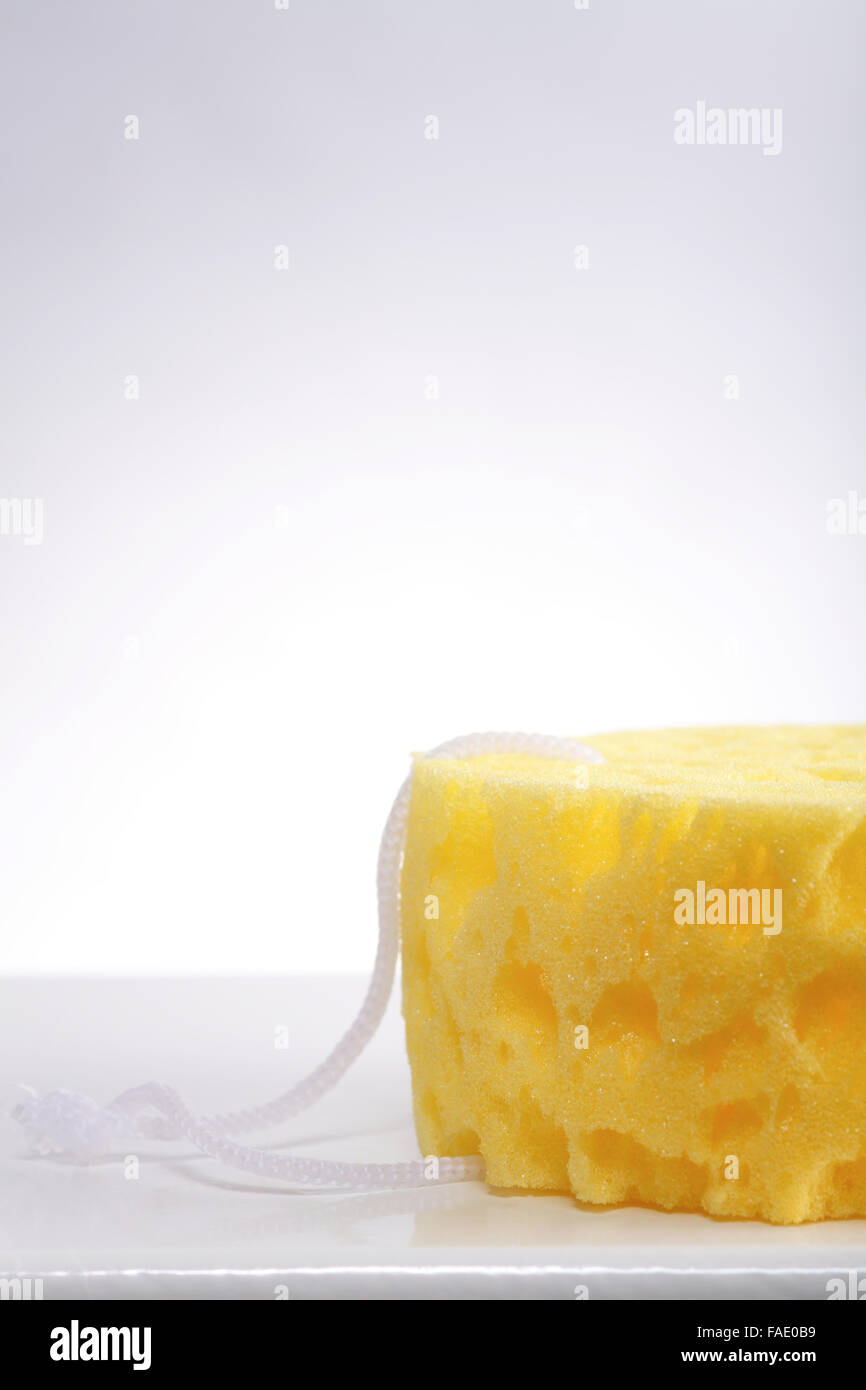 Close up of a bath sponge Stock Photo - Alamy
