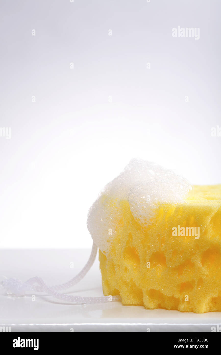 Sponge covered in soap suds Stock Photo - Alamy