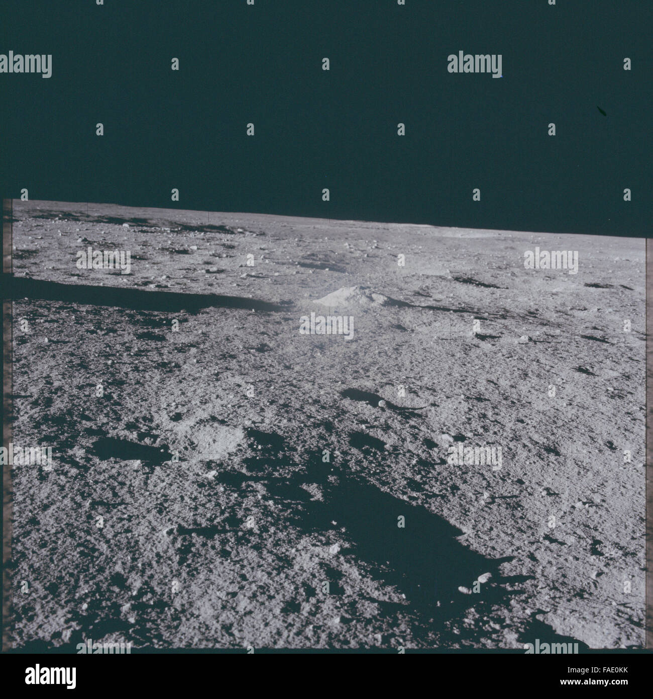The untouched photographic archive of Apollo 12 offers an exclusive ...