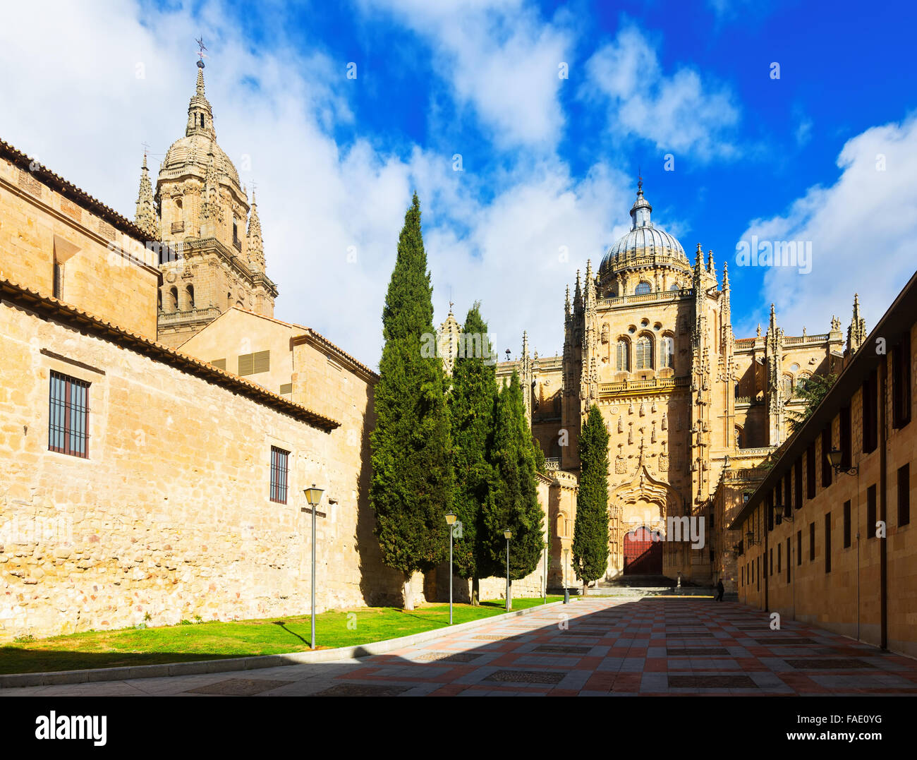 Cathedral of Salamanca. Castile and Leon, Spain Stock Photo - Alamy