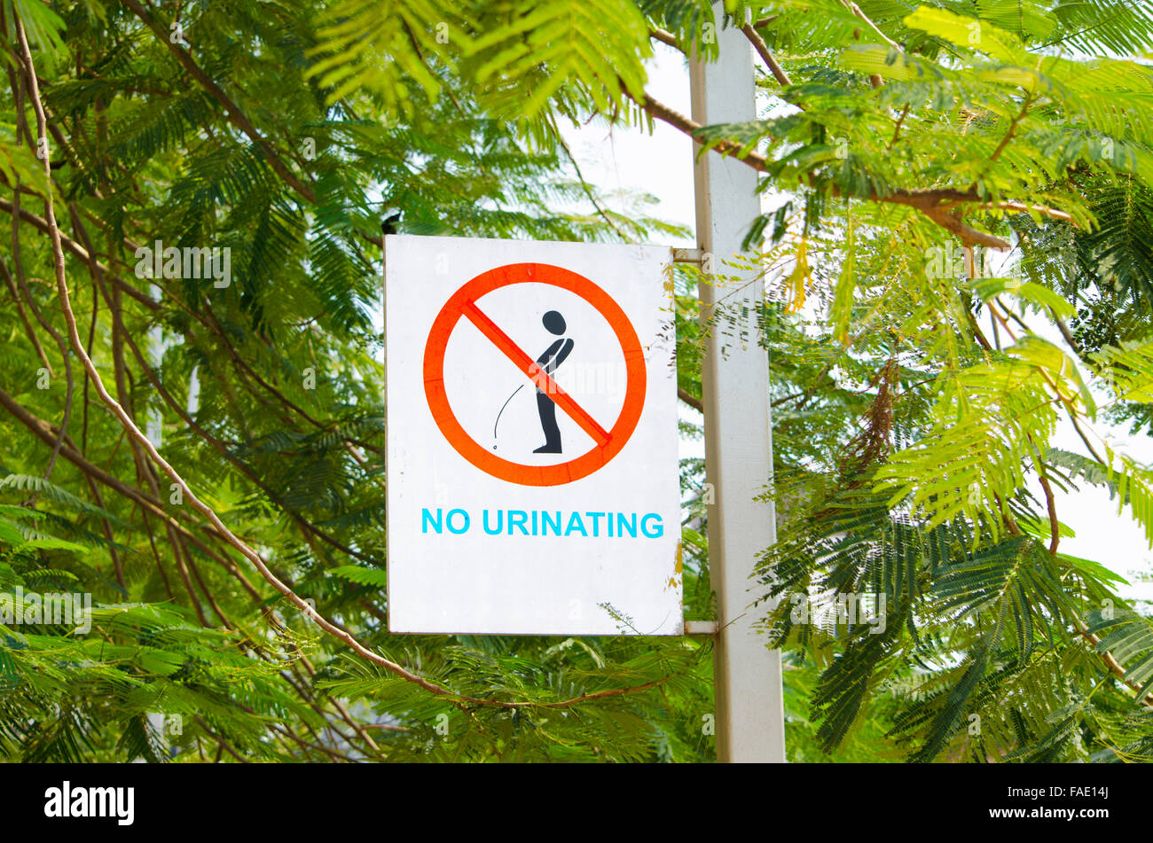 prevention sign in the city no urinating,a sign,the prevention,a ban,a ...