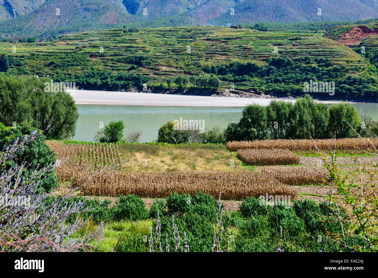 Jinsha Jiang River,Yangtze River,Road between Lijiang & Tacheng,Jade ...