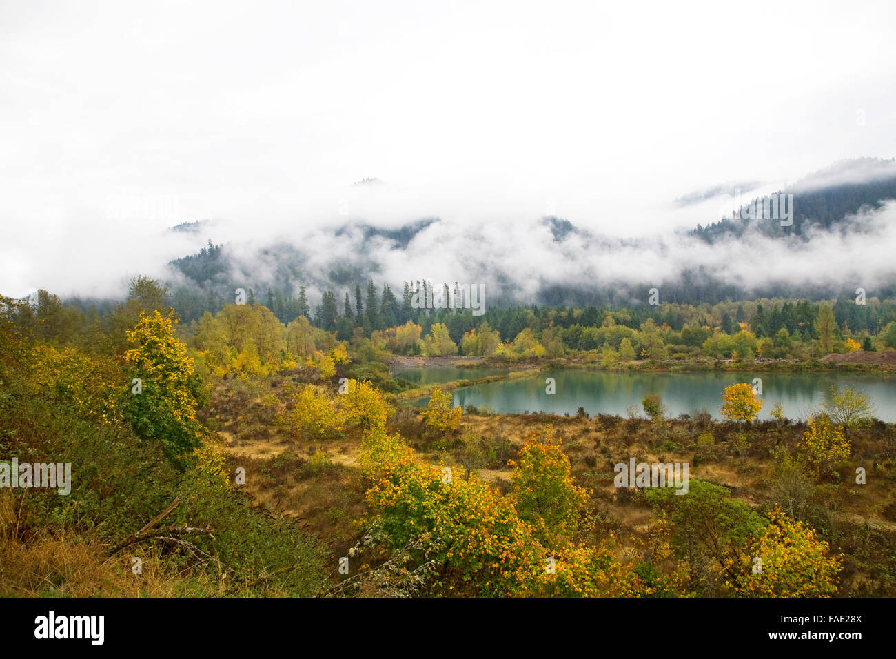 Fall color change hi-res stock photography and images - Alamy