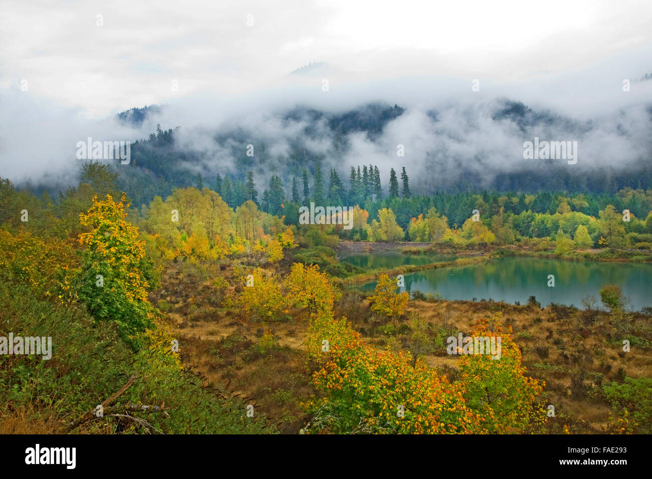Mist and fog hang over the Cascade Mountains of central Oregon near the ...