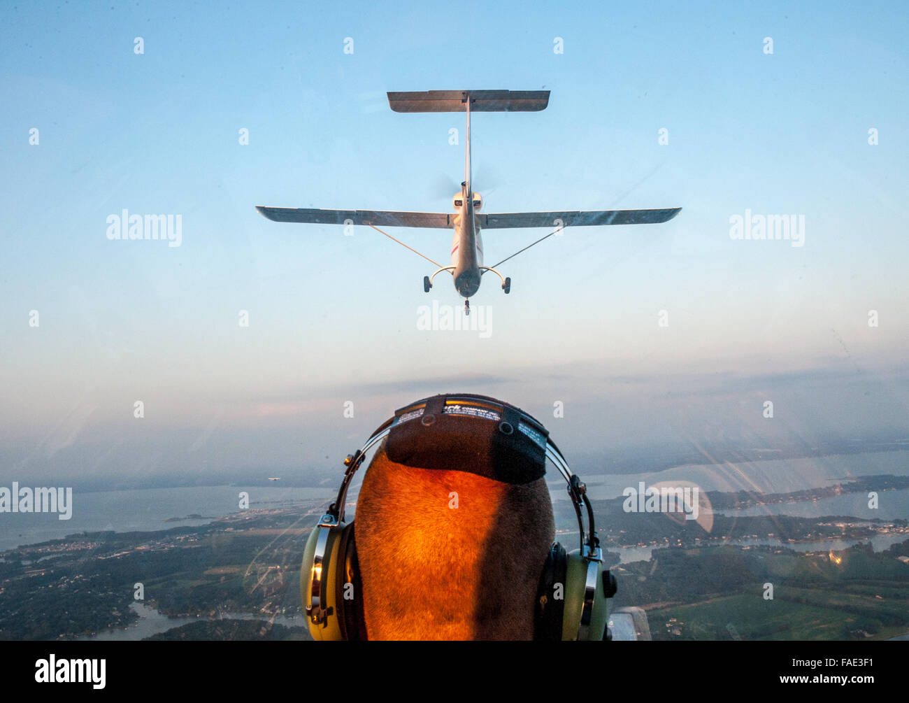 Aerial view of a pilot during a formation flight Stock Photo - Alamy