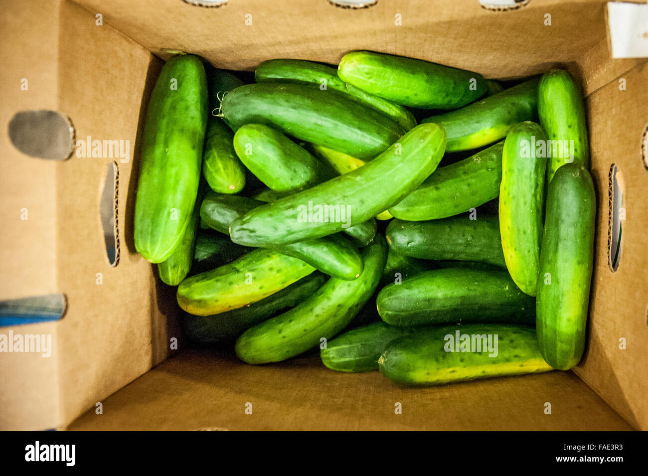 Box filled with cucumbers Stock Photo - Alamy